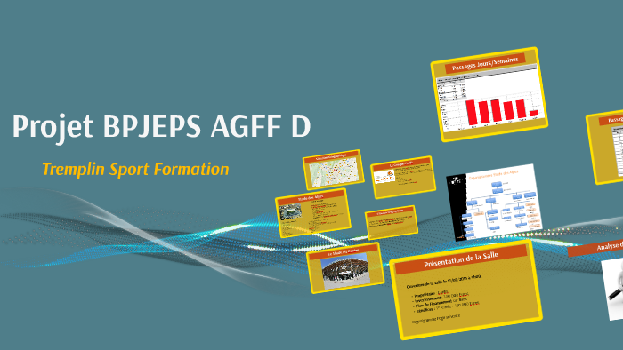 Projet BPJEPS AGFF D by David ARRIGHI on Prezi
