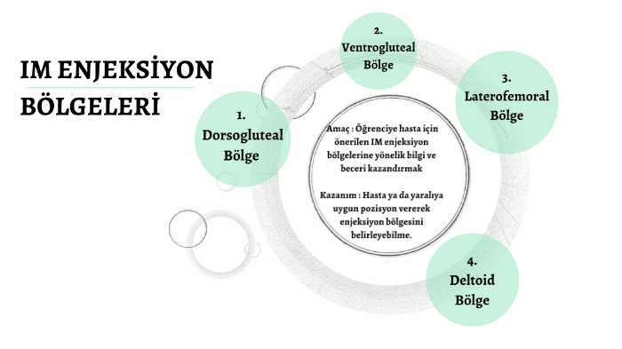 IM Enjeksiyon Bölgeleri by aslı özdemir on Prezi