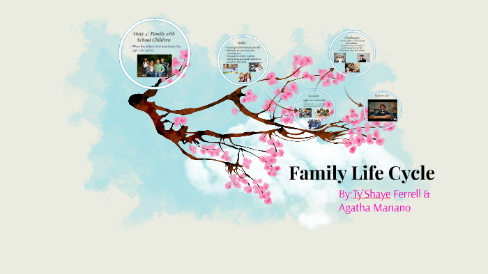 Family Life Cycle by on Prezi