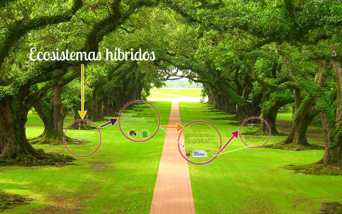 Ecosistemas híbridos by mitzi perez on Prezi