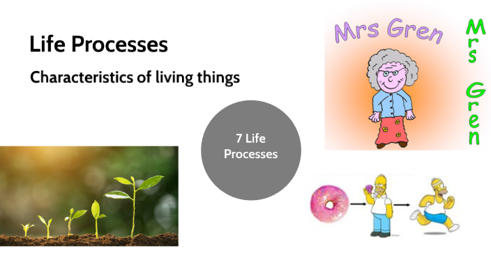 Life processes/the characteristics of living things by mskholoud Mahdy ...