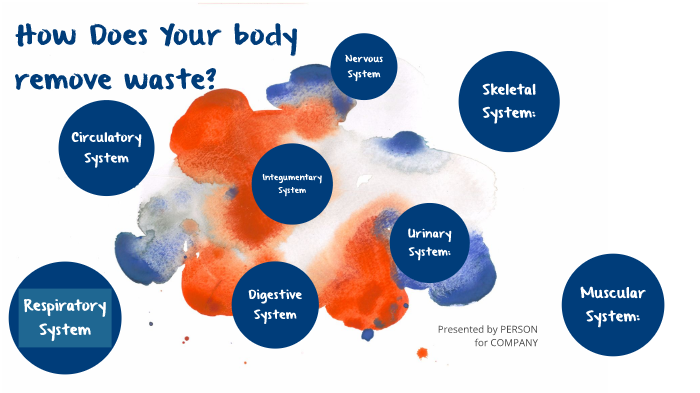How does your body remove waste? by Isabelle Dubose on Prezi