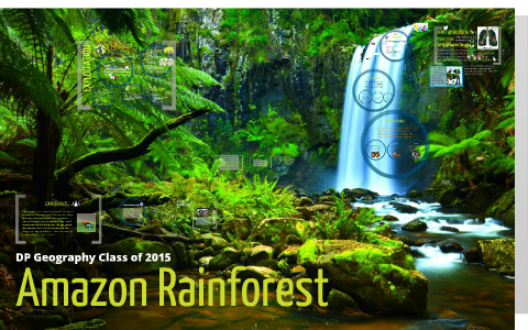 Tropical Rainforest - Powerpoint by hiu laam ho on Prezi