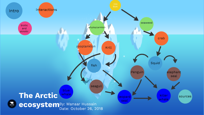 The Artic Ecosystem by Manaar Hussain on Prezi