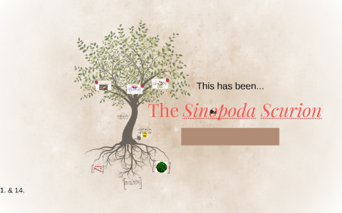 Sinopoda scurion by Ty McAwesome on Prezi