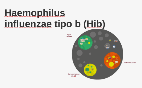 Haemophylus influenzae tipo b (Hib) by edith garcia on Prezi