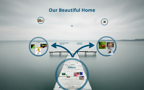 Pesticide Usage and Solutions by Anthony Pyka on Prezi