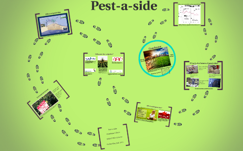 Pest-a-side by Angelique Gilbert on Prezi