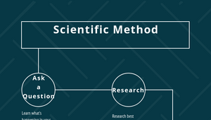 Scientific Method infographic by Trevor Garvin on Prezi Design