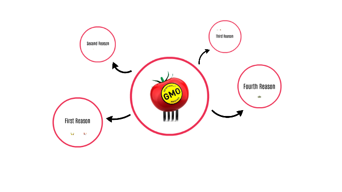 First Reason by 현하 고 on Prezi