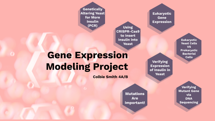 Gene Expression Modeling Project by Colbie Smith on Prezi