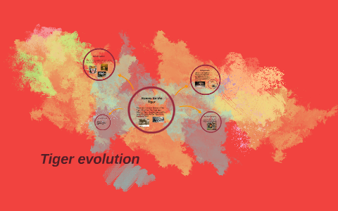 Tiger evolution by Abigail Mundle on Prezi