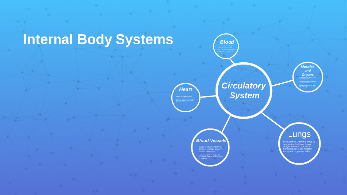 Internal Body Systems by Kolby Gilbert on Prezi