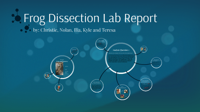 Frog Dissection Lab Report by teresa siby on Prezi