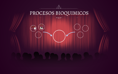PROCESOS BIOQUIMICOS by erikson arley holguin on Prezi