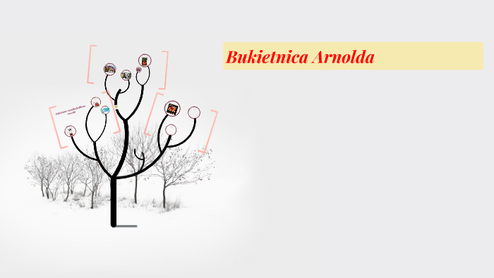 Bukietnica Arnolda by Kosma Kołodziej