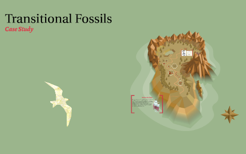 Case Study on Transitional Fossils by Grace Bertram on Prezi