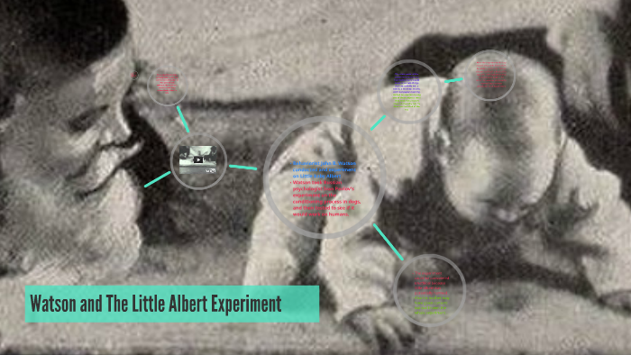 The Little Albert Experiment by Braden Pender on Prezi