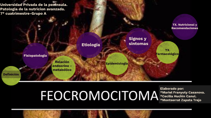 Feocromocitoma. by Montserrat Trejo on Prezi