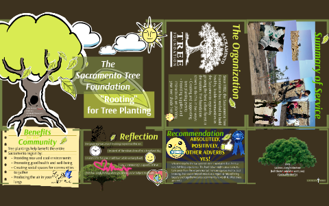 The Sacramento Tree Foundation: "Rooting" for Tree Planting by John ...