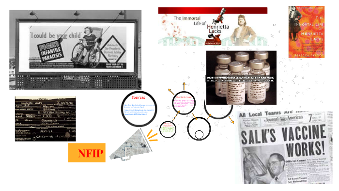 Chapter 13 The HeLa Factory by Dalton Cardwell on Prezi