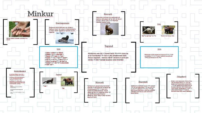 Minkur by Birta Þorvaldsdóttir on Prezi
