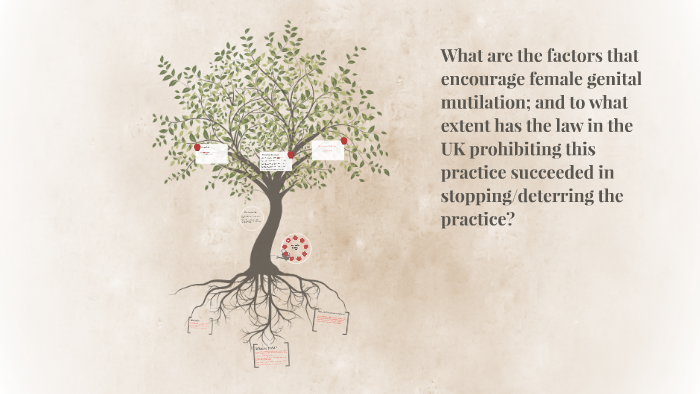 What are the factors that encourage female genital mutilatio by Dana ...