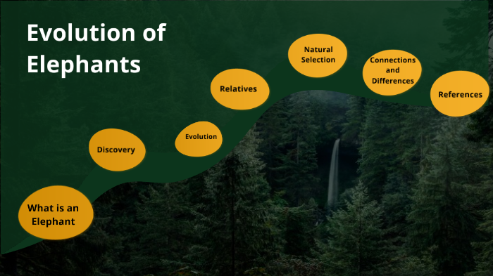 Evolution of Elephants by milly mudge on Prezi