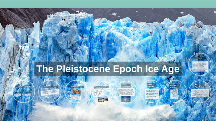 The Pleistocene Epoch Ice Age by Elizabeth Worthington on Prezi