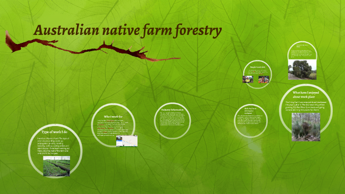 Australian native farm forestry by Will Giltrap