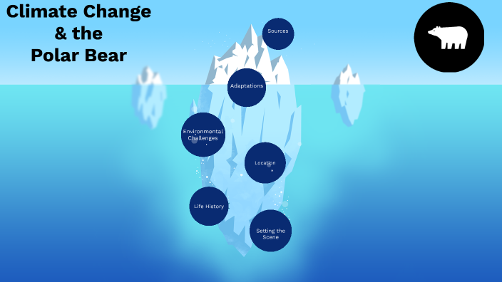 Climate Change & Polar Bear Physiology by Zaina Ilyas on Prezi