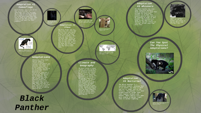 Black Panther Adaptations by Josiah Am on Prezi