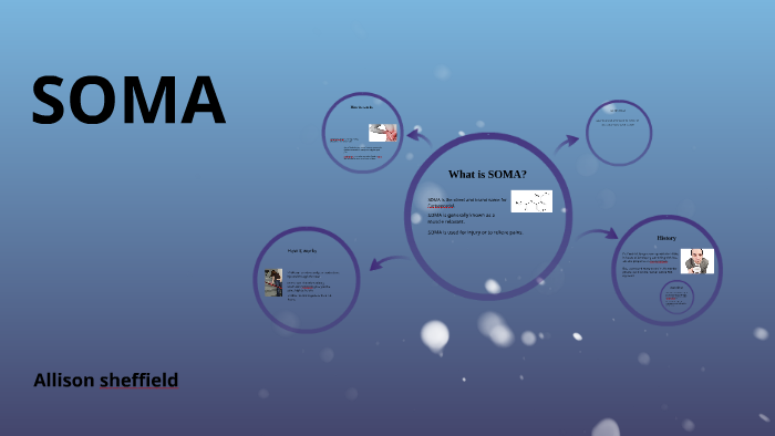What are somas? by Allison Sheffield