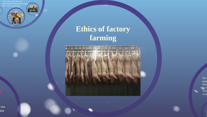 Ethics of factory farming by Maiya Keough on Prezi