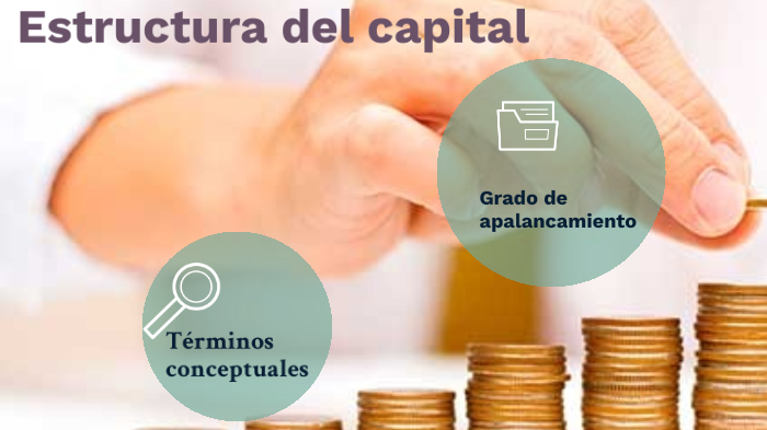 Estructura del Capital by Dianita Herrera on Prezi