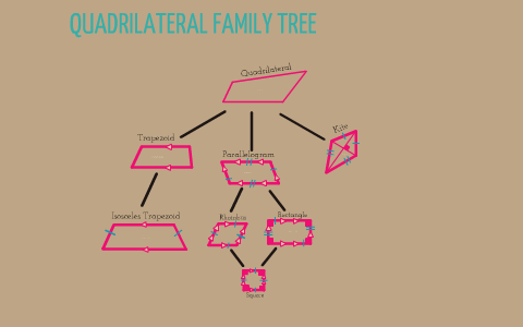 Quadrilateral Family Tree by Baylee Shepherd on Prezi