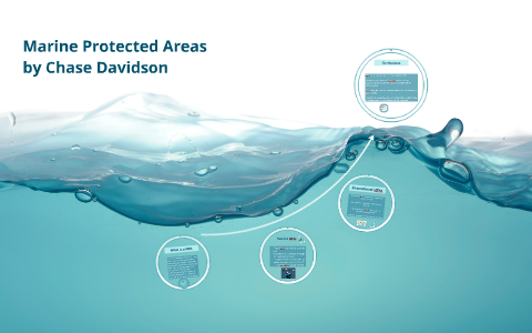 What is a MPA by on Prezi