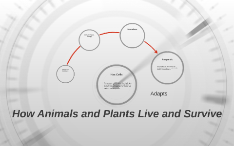 How Animals and Plants Live and Survive by Zachary Martinez on Prezi