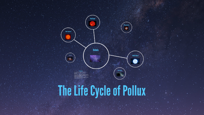The Life Cycle of Pollux by Samantha Penrose