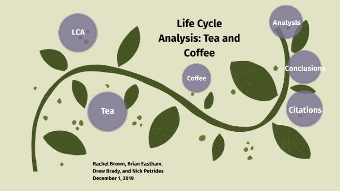 LCA: Tea and Coffee by Rachel Brown on Prezi