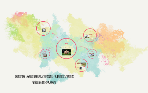 basic agricultural livestock terminology by samantha serenity on Prezi