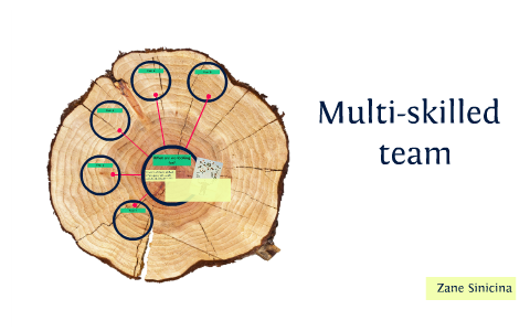 Multi-skilled team by Zane Sinicina on Prezi
