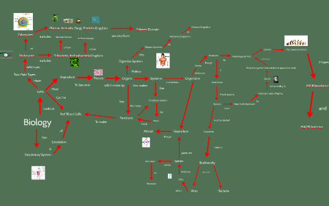 Course Concept Map by Dheeraj Mehta on Prezi