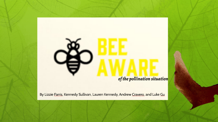 Bee Aware by