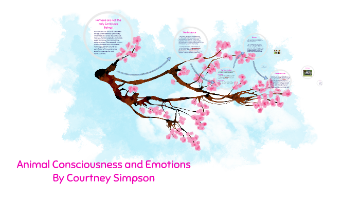 Animal Consciousness and Emotions by Courtney Simpson on Prezi