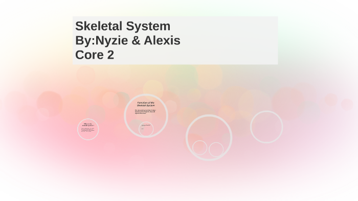 Skeletal System by on Prezi