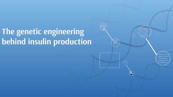 The genetic engineering behind insulin production by aghielan I on Prezi