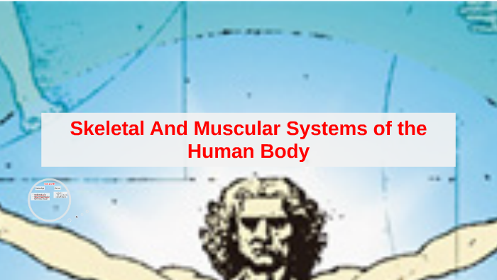 Skeletal And Muscular System of the Human Body by Ellis Mount on Prezi