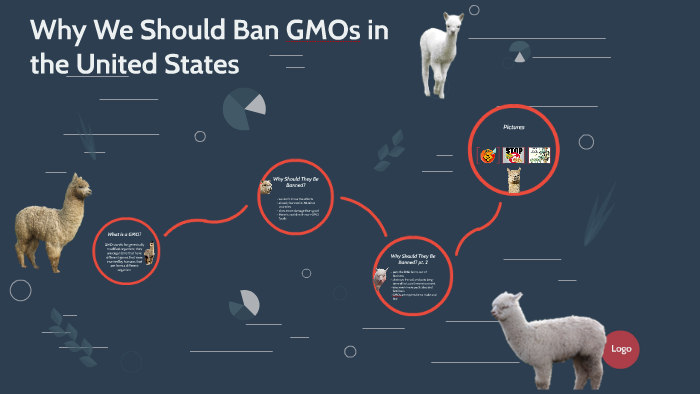 Why We Should Ban GMOs in the United States by Shawn Overbey on Prezi
