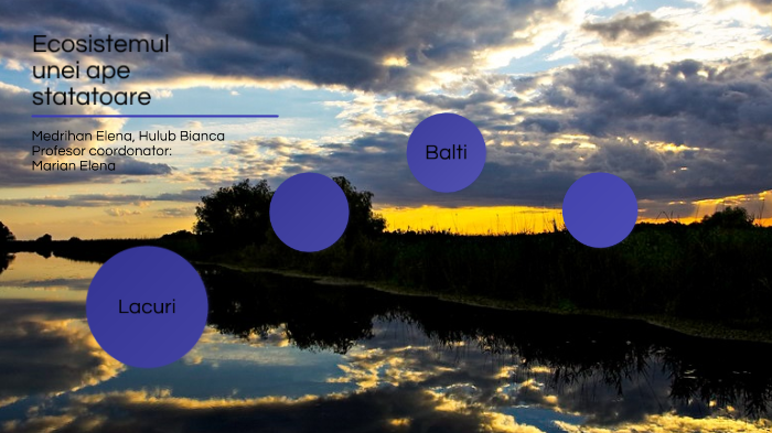 Ecosistemul unei ape statatoare by stefan medrihan on Prezi